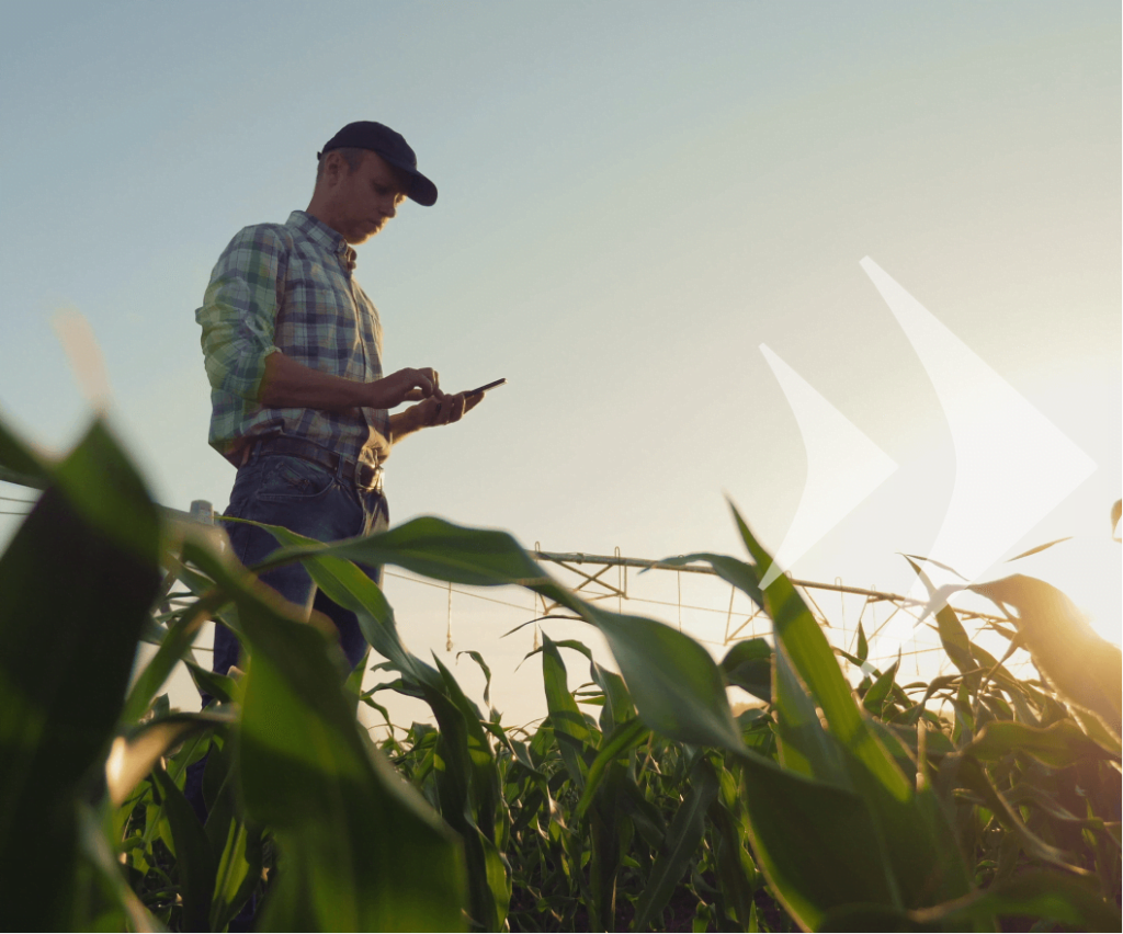 Agriculture Insurance | Farm |Crop Coverage | Insure Forward